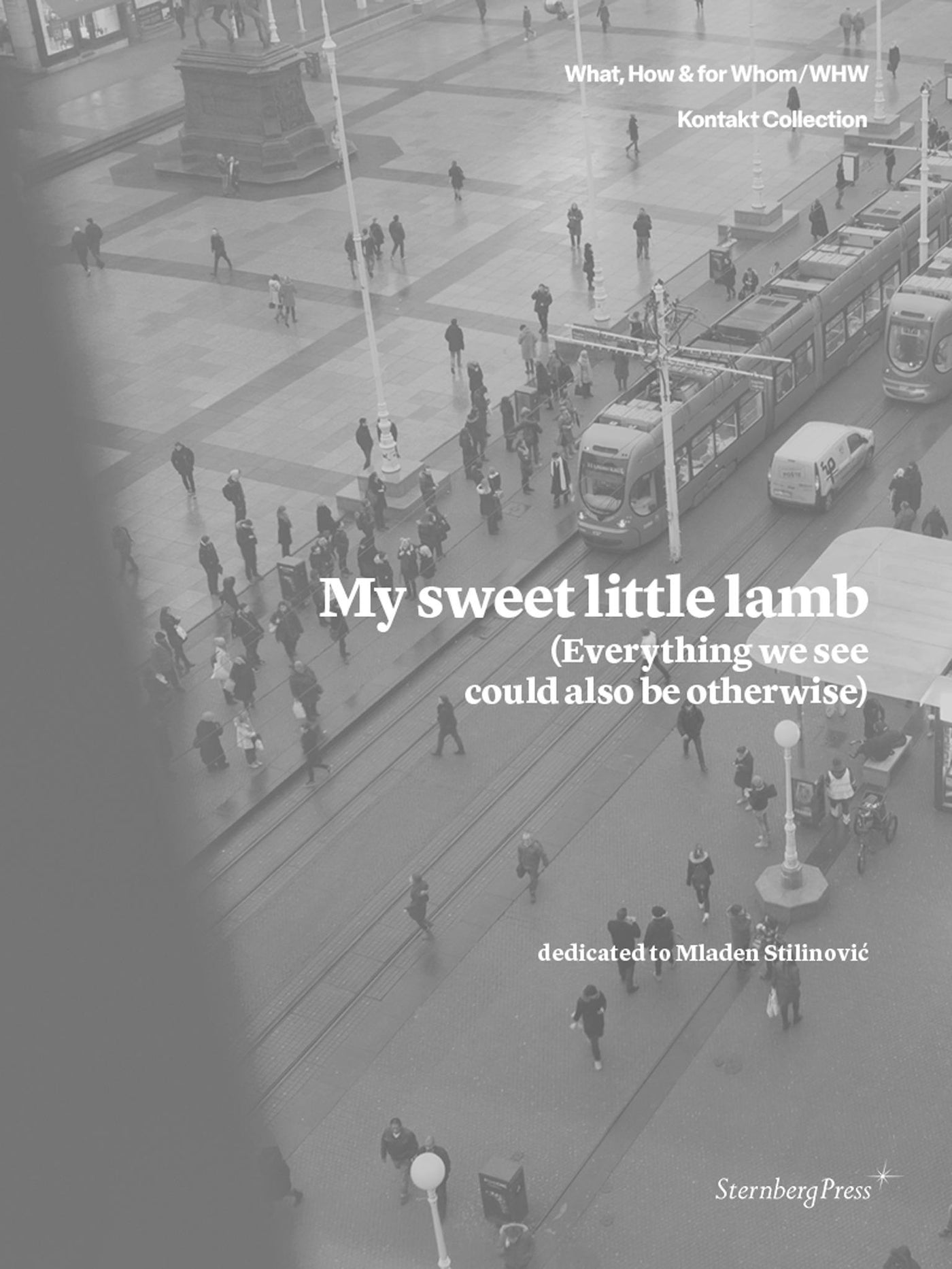 My Sweet Little Lamb (Everything We See Could Also Be Otherwise) My ...